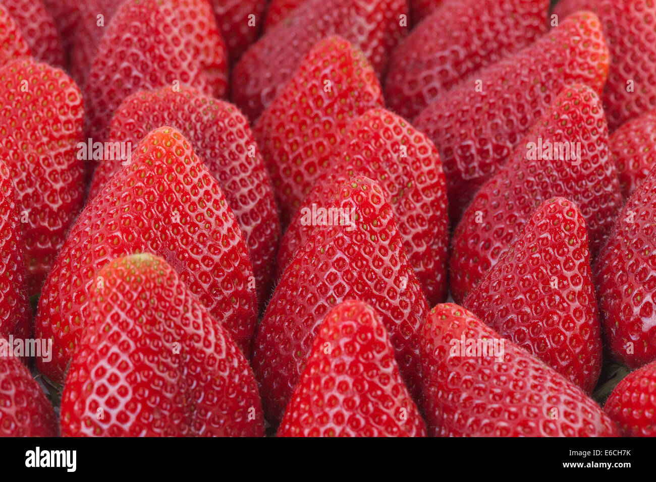 Strawberries close up in hi-res stock photography and images - Alamy