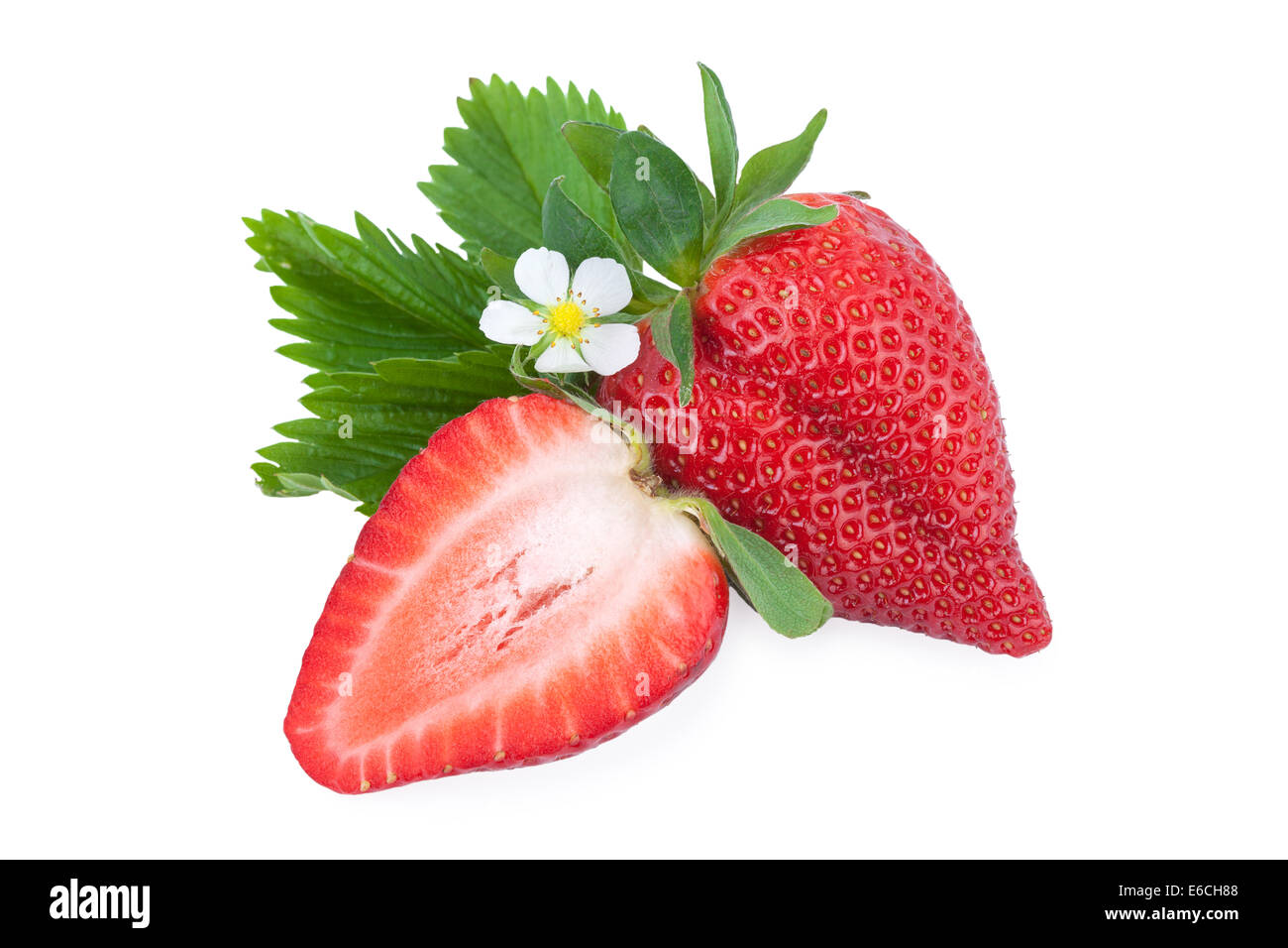 Strawberry in Close up Stock Photo - Alamy