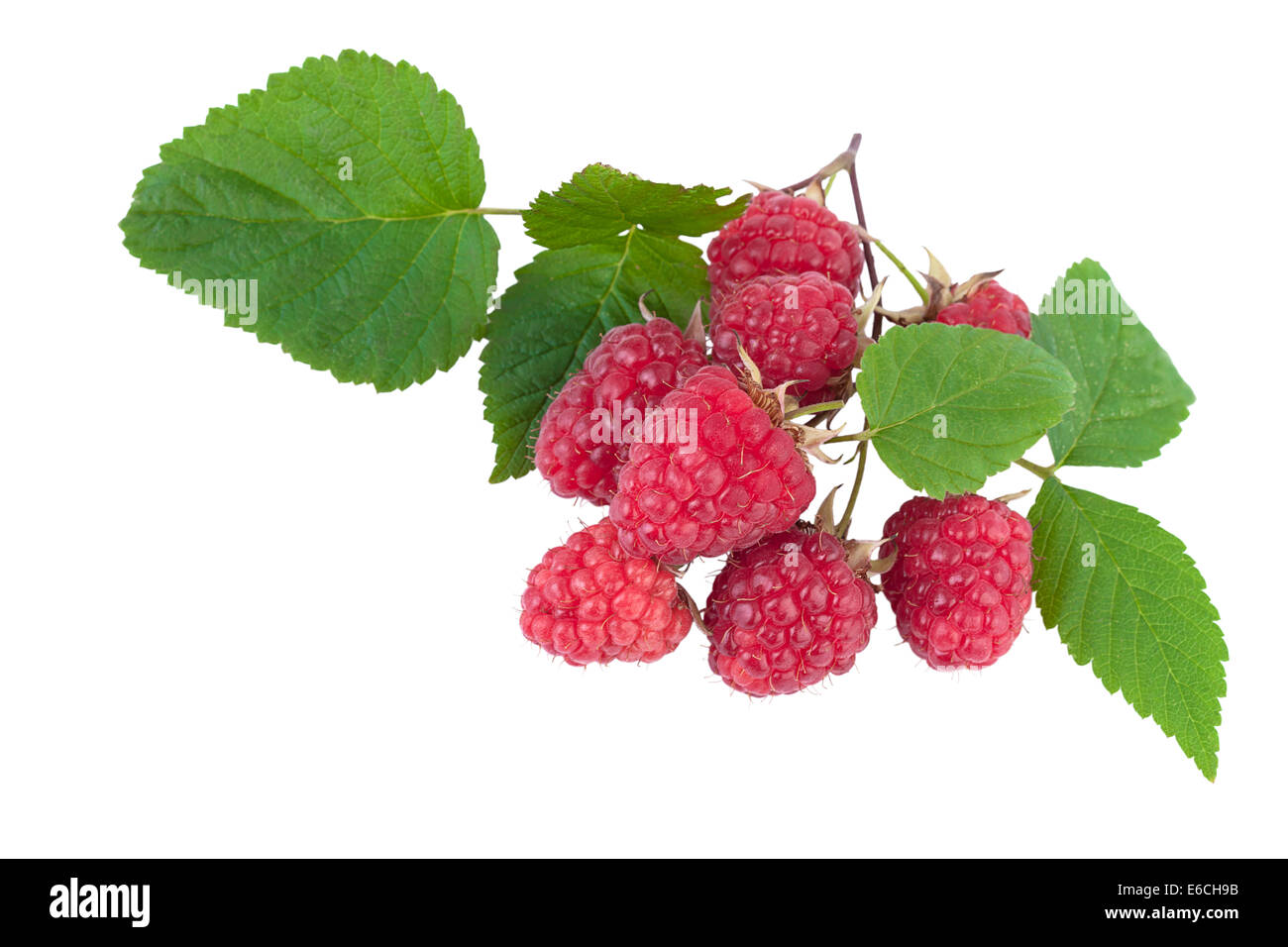 Raspberries isolated on white background cutout Stock Photo - Alamy