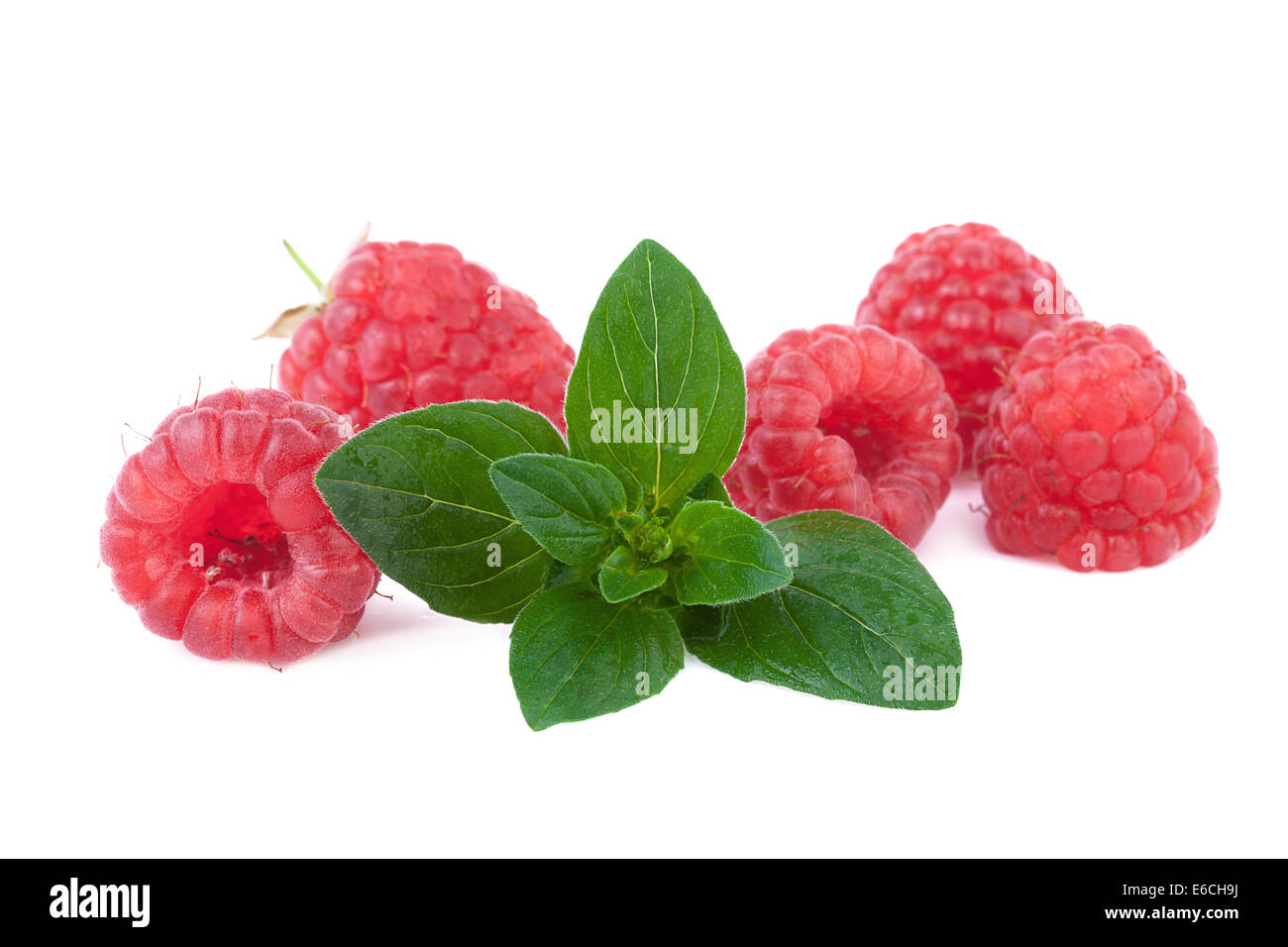 Raspberries and mint leaf Stock Photo - Alamy