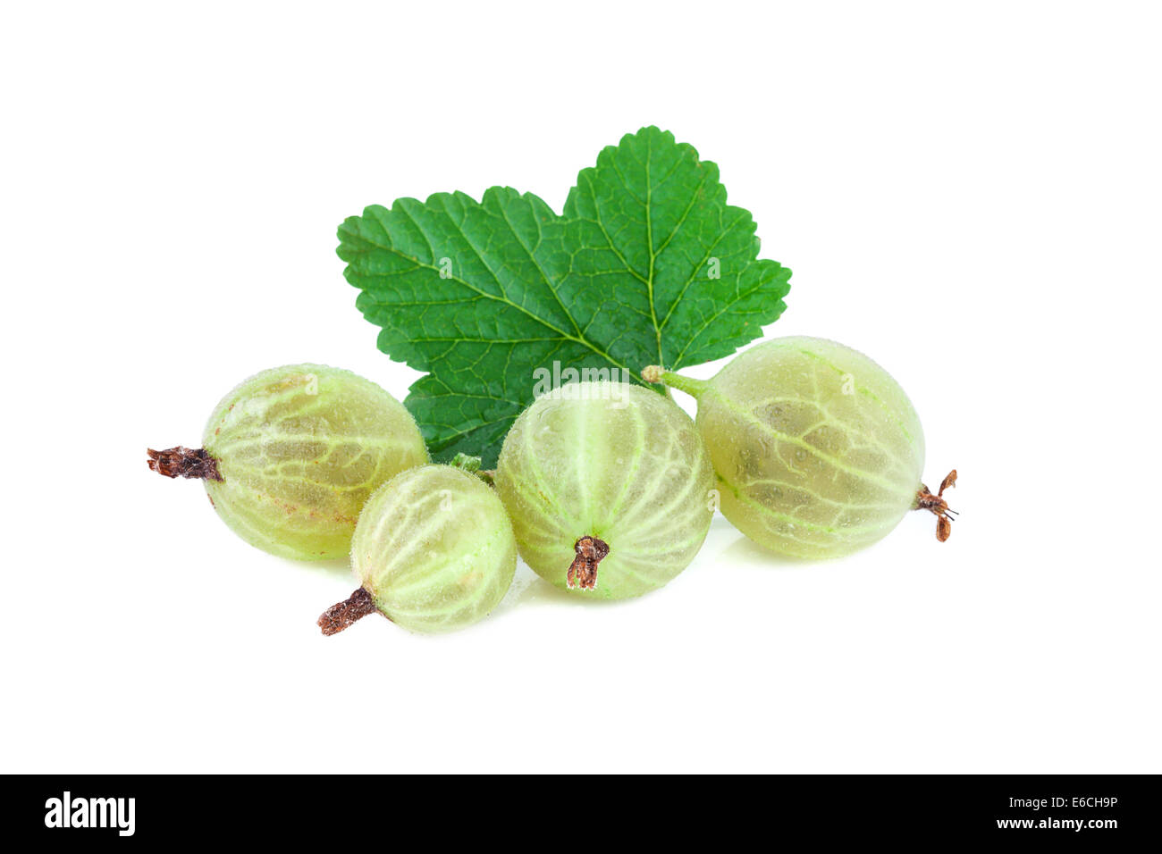 Gooseberry bunch Cut Out Stock Images & Pictures - Alamy