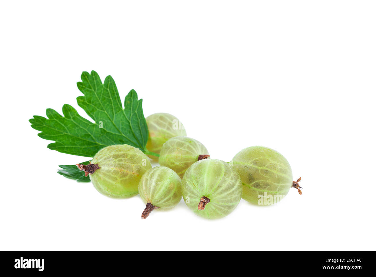 Bunch of gooseberries hi-res stock photography and images - Alamy