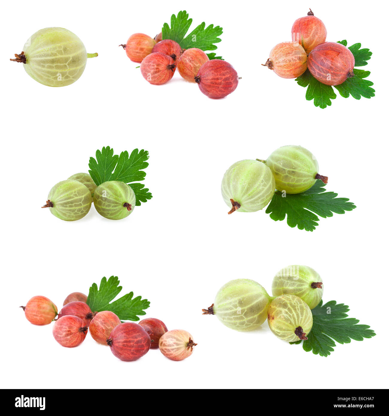 Summer bunch collection hi-res stock photography and images - Alamy