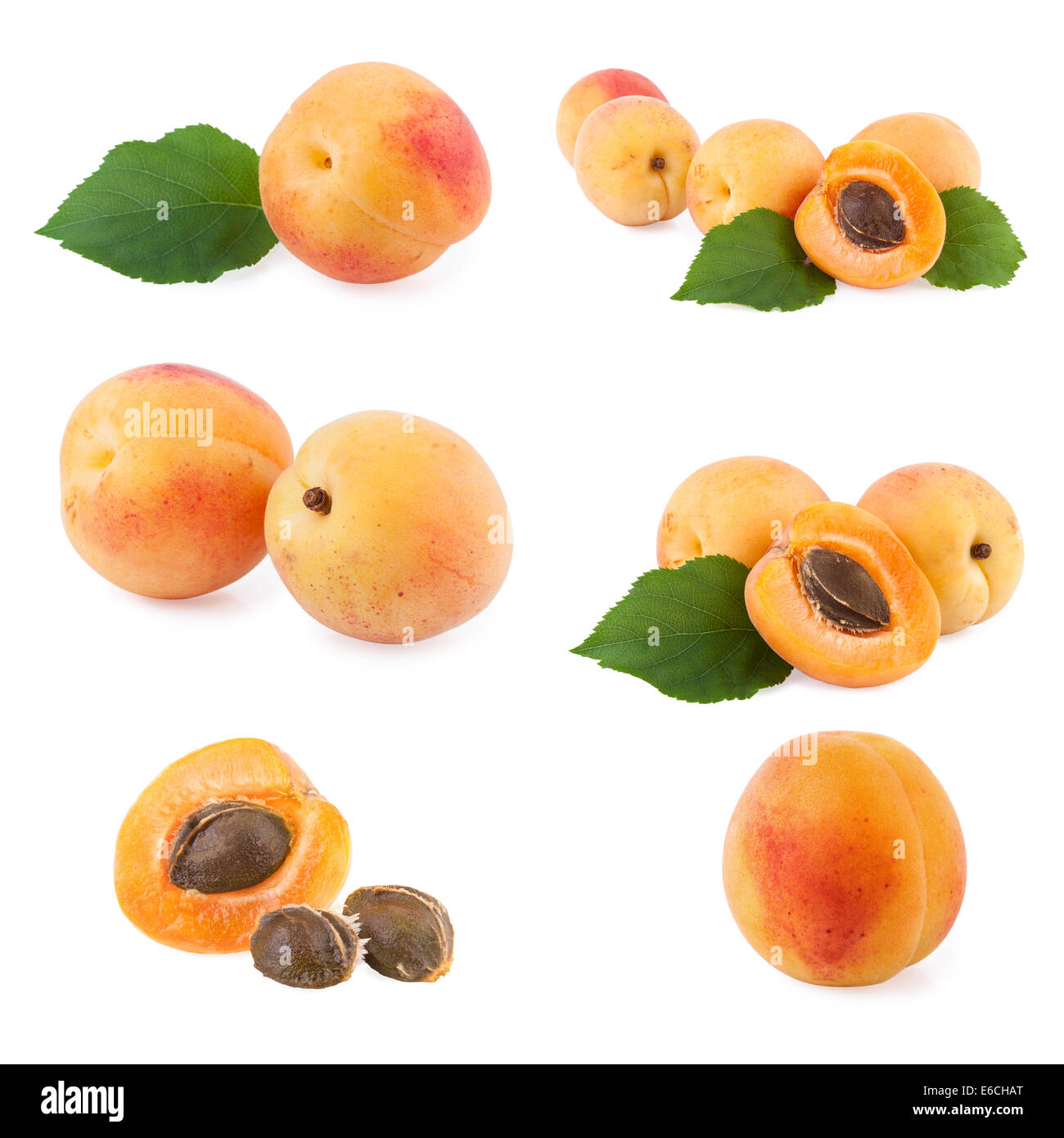 Fresh apricots ripe juicy hi-res stock photography and images - Alamy