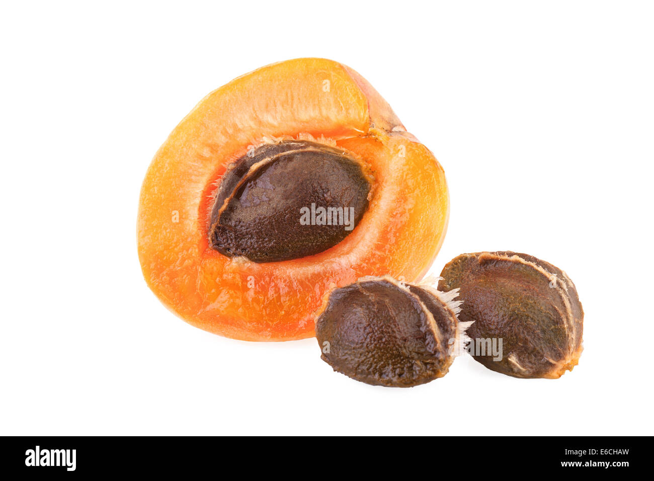 half of apricot with core Stock Photo - Alamy