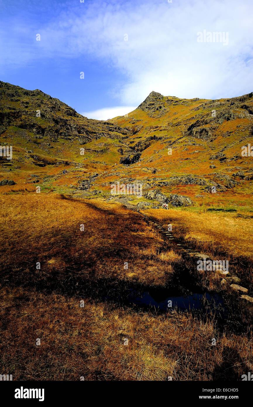 Belles knott hi-res stock photography and images - Alamy