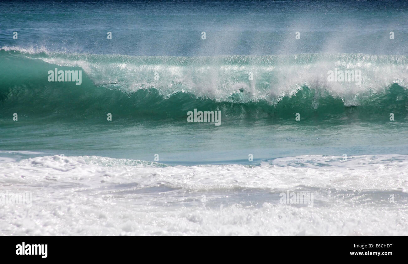 Big ocean wave breaking the shore Stock Photo - Alamy