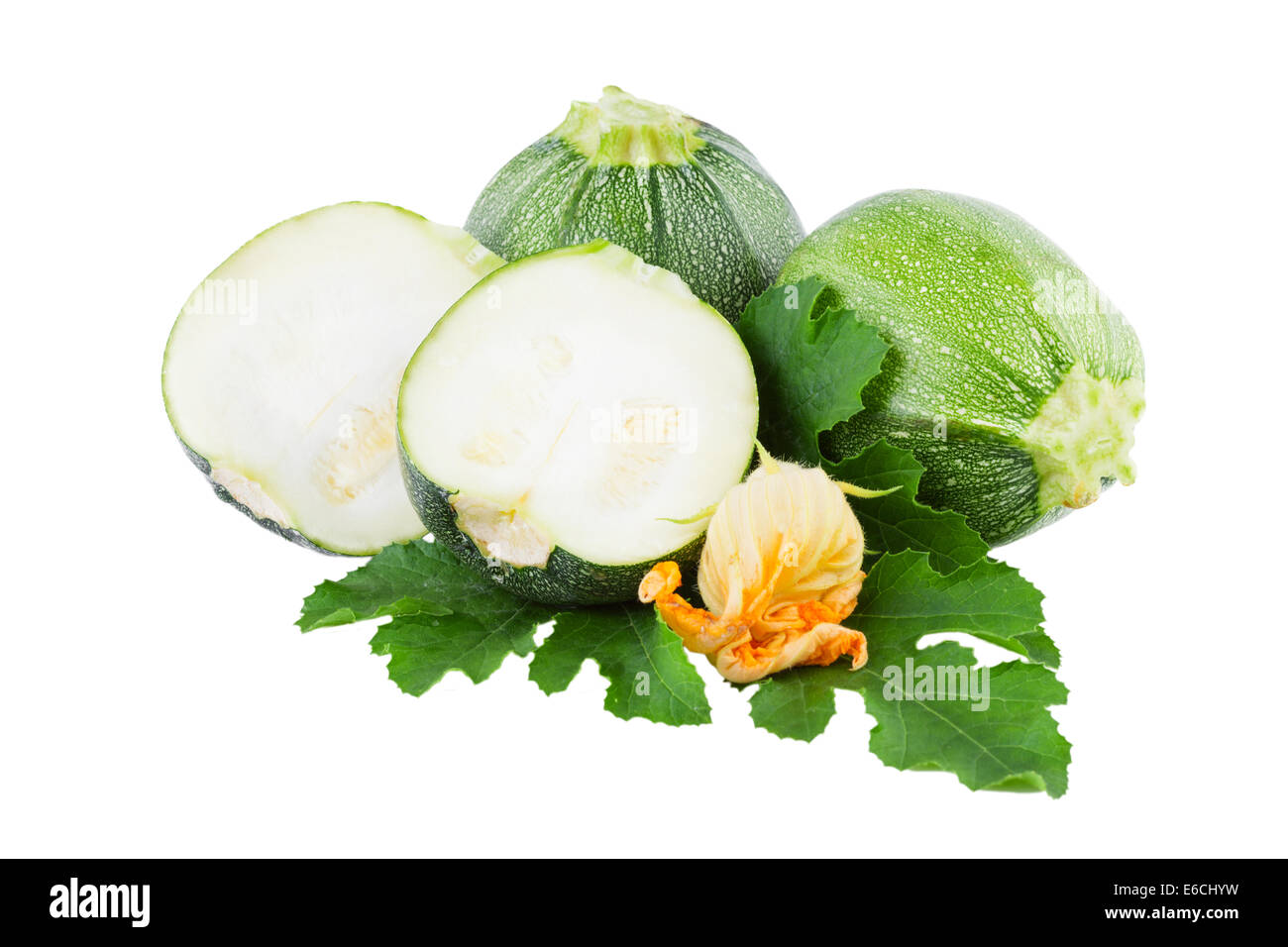 Zucchini round isolated on white background Stock Photo - Alamy