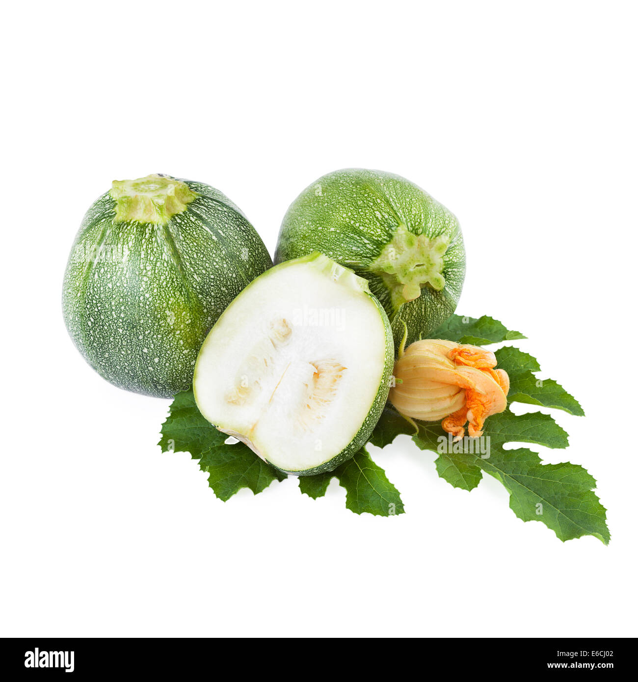 zucchini round isolated on white background Stock Photo - Alamy