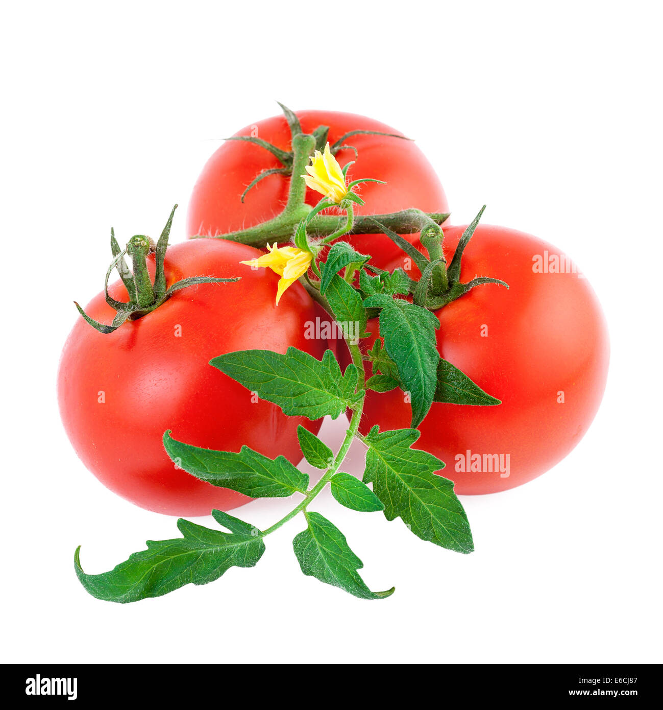 Closeup organic tomato hi-res stock photography and images - Alamy