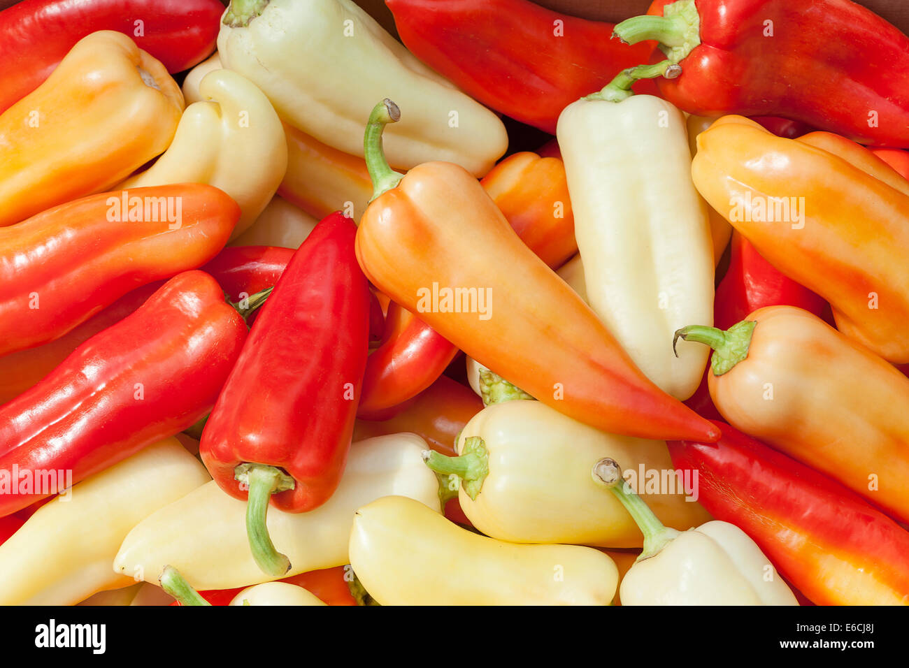 colorful mix of fresh paprika Stock Photo - Alamy