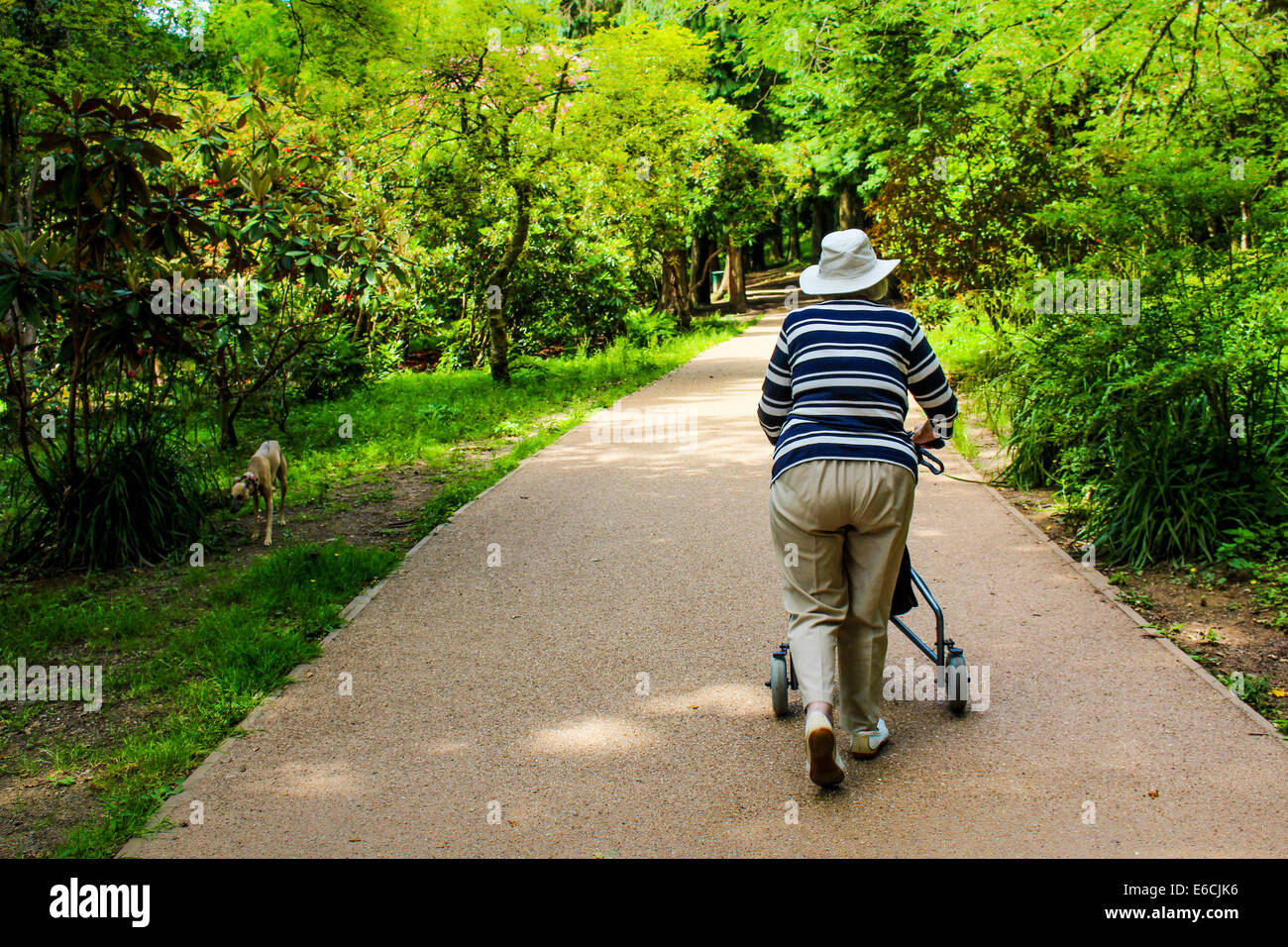 Old lady walking frame hi-res stock photography and images - Alamy