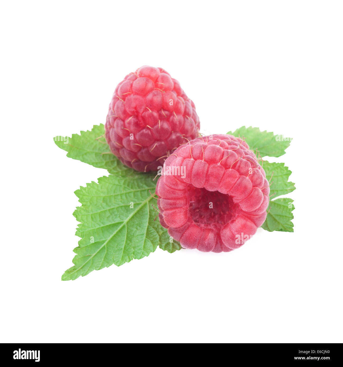 Raspberry in close up Stock Photo - Alamy