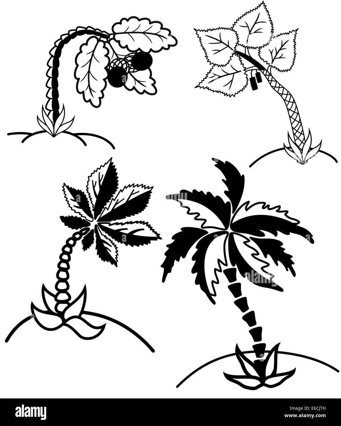 Coconut tree silhouette set Black and White Stock Photos & Images - Alamy
