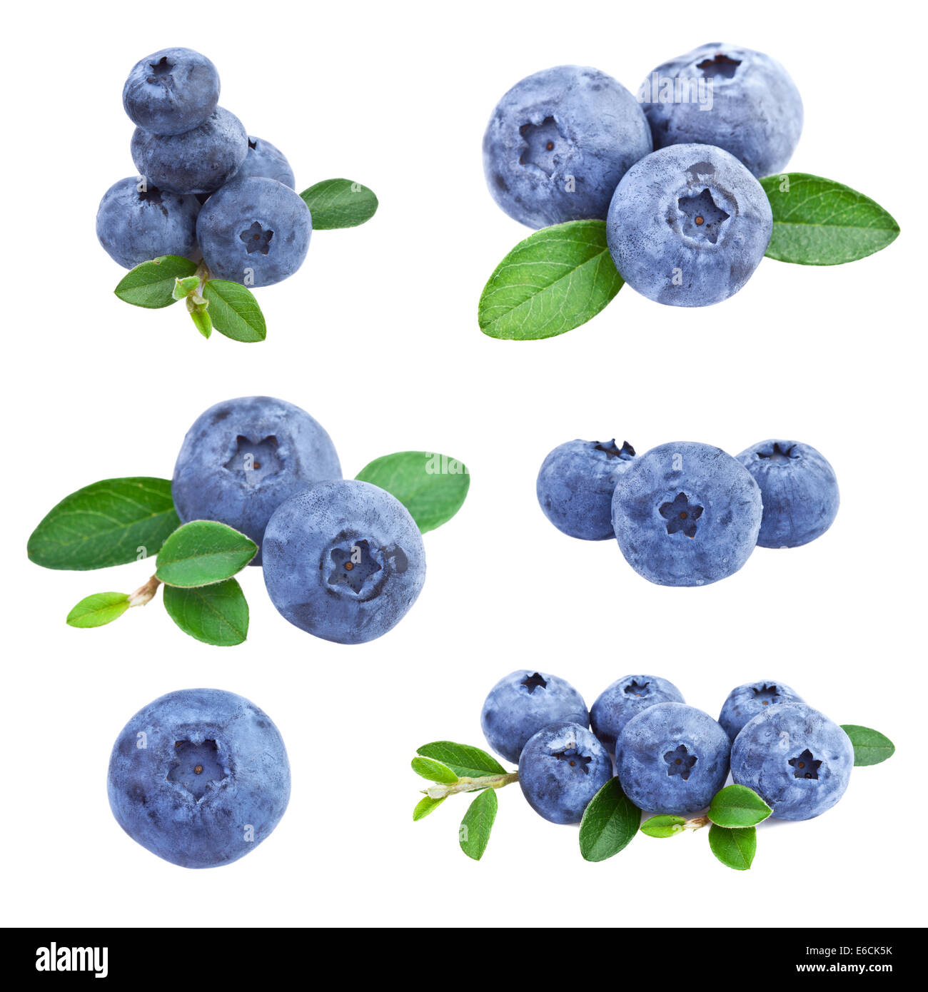 Summer bunch collection hi-res stock photography and images - Alamy