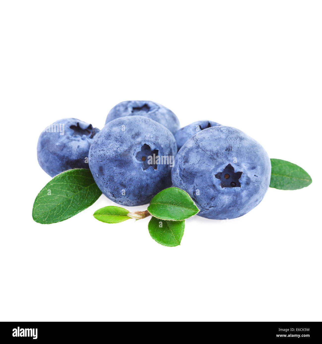 Closeup juicy blueberries hi-res stock photography and images - Alamy