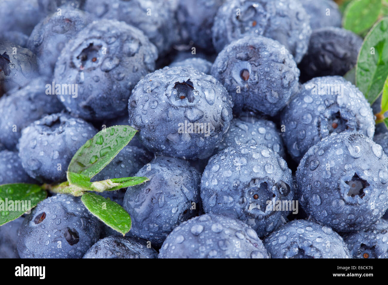 In close hi-res stock photography and images - Alamy