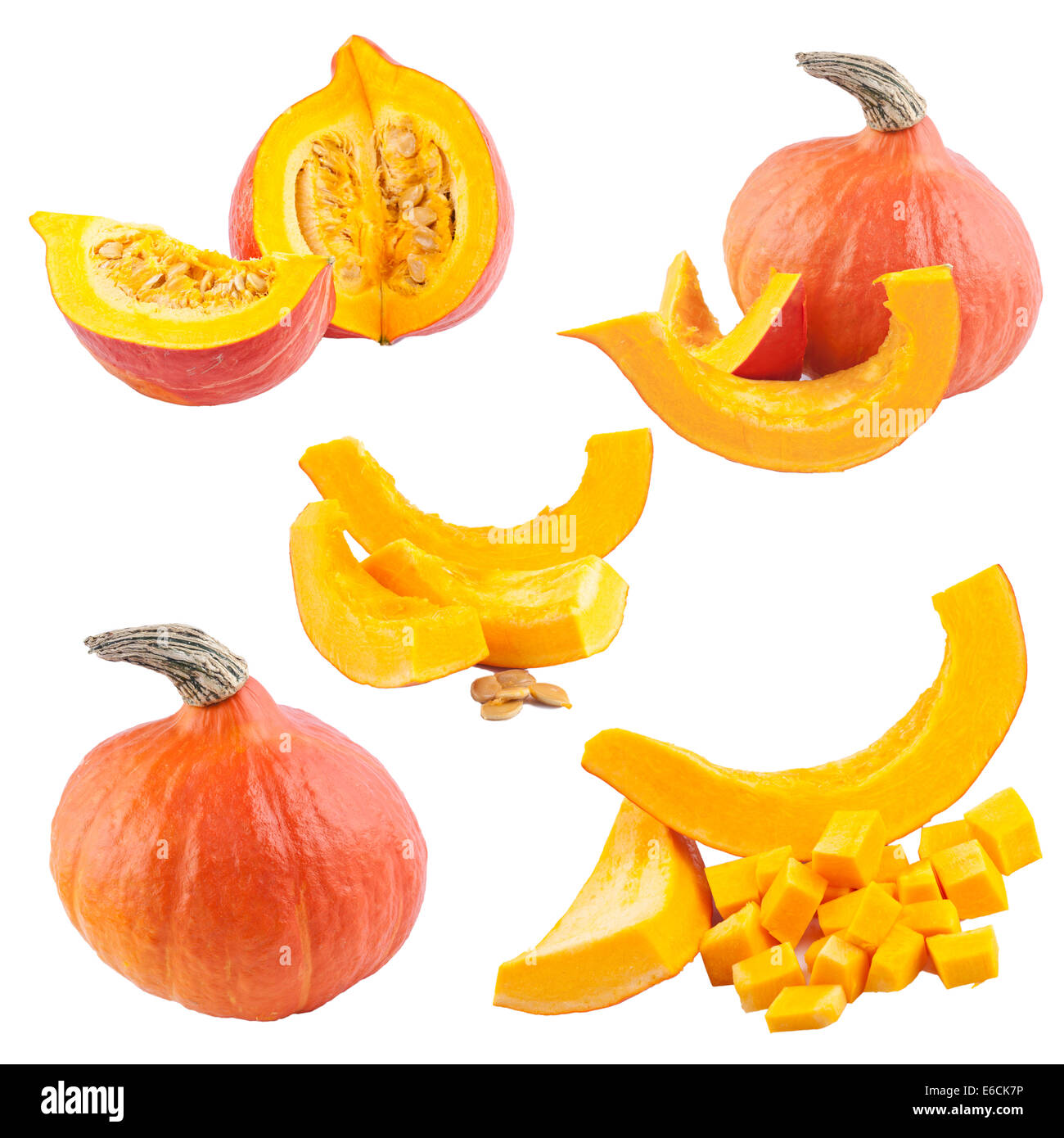 Seed collection Cut Out Stock Images & Pictures - Alamy