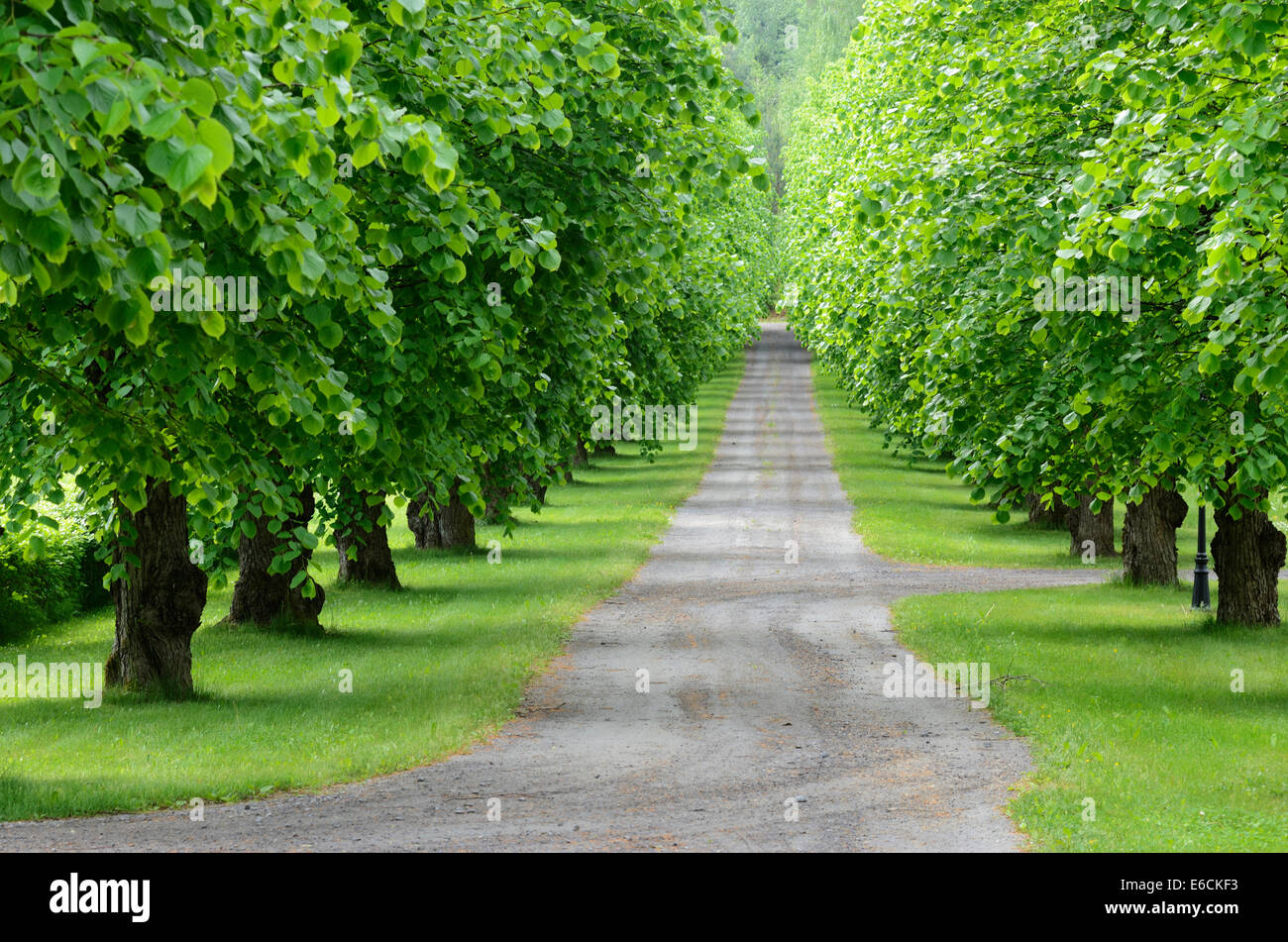Wide path hi-res stock photography and images - Alamy