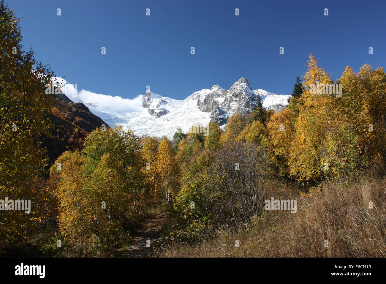 the mountain autumn landscape with colorful species of woods and ...