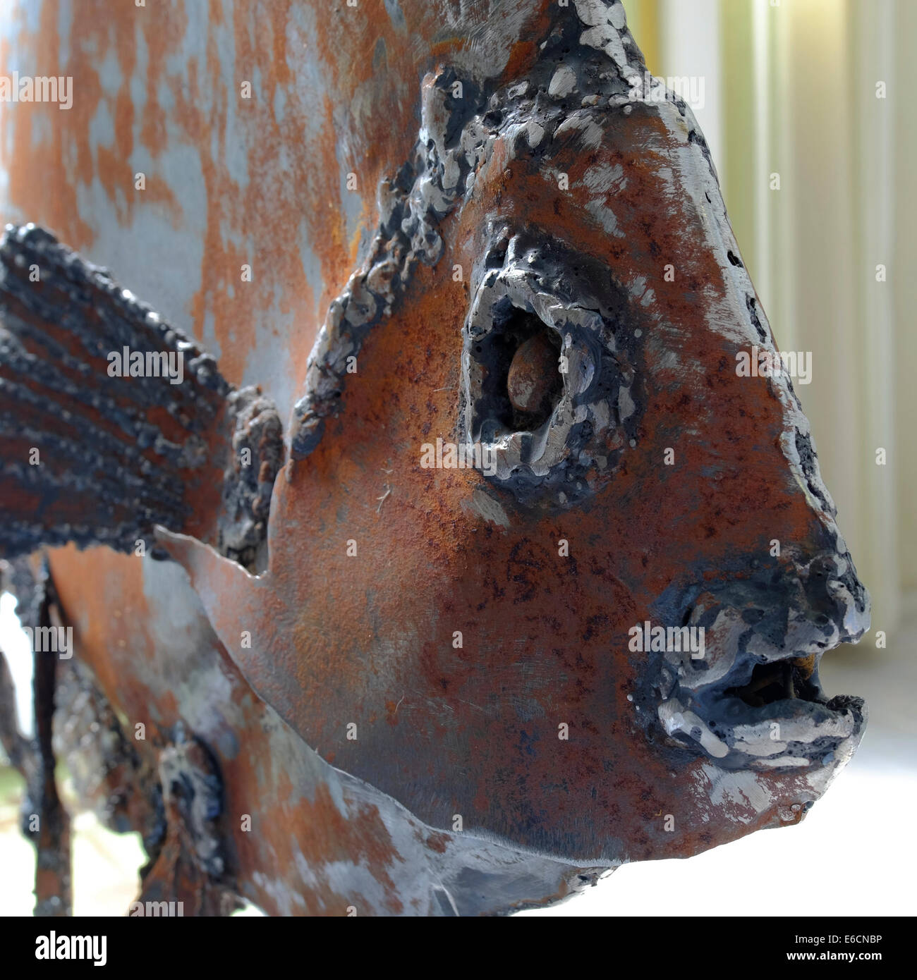 metal welded sculpture of an Angel fish Stock Photo - Alamy