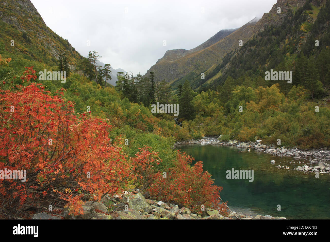 Pure mountain lake, Inspiring wilderness of Alpine Stock Photo - Alamy