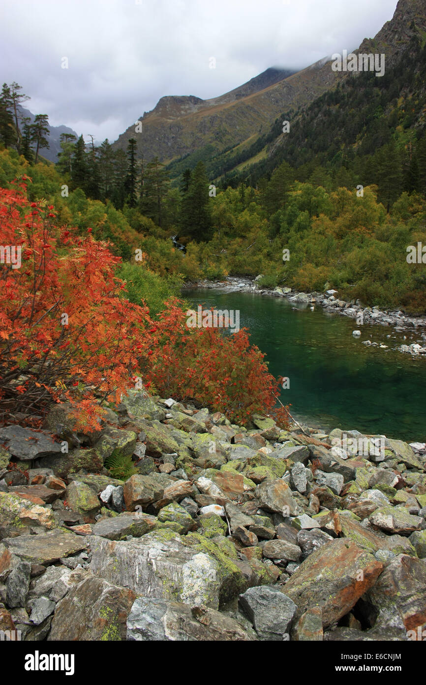 Pure mountain lake, Inspiring wilderness of Alpine Stock Photo - Alamy