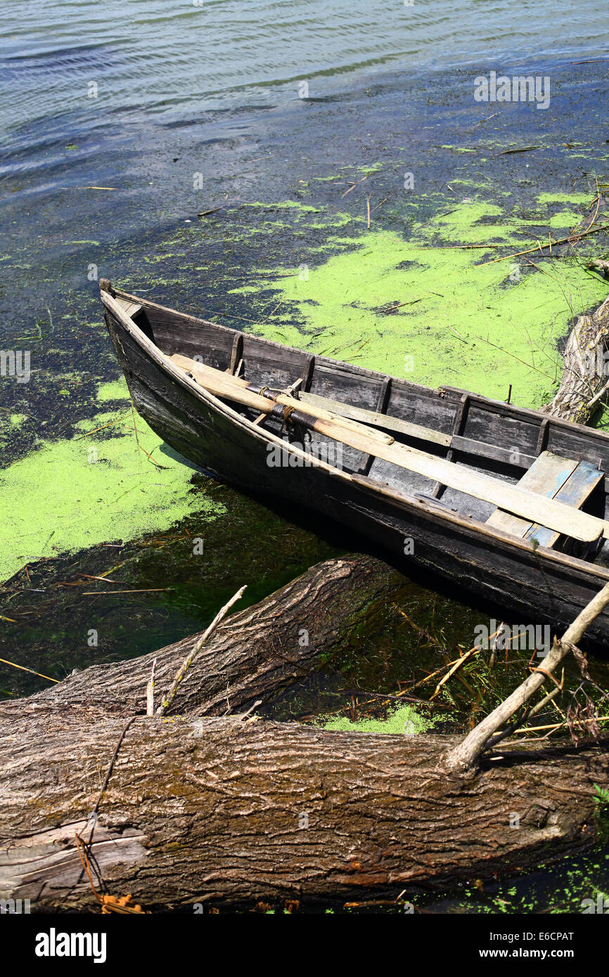 A boat filled with water and plants on a river bank Stock Photo - Alamy