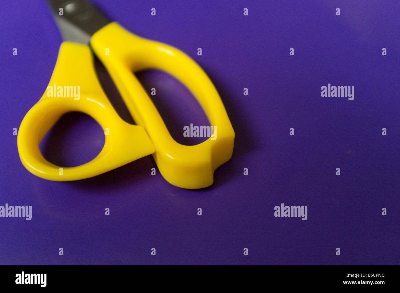Yellow handles scissors against a purple background Stock Photo - Alamy