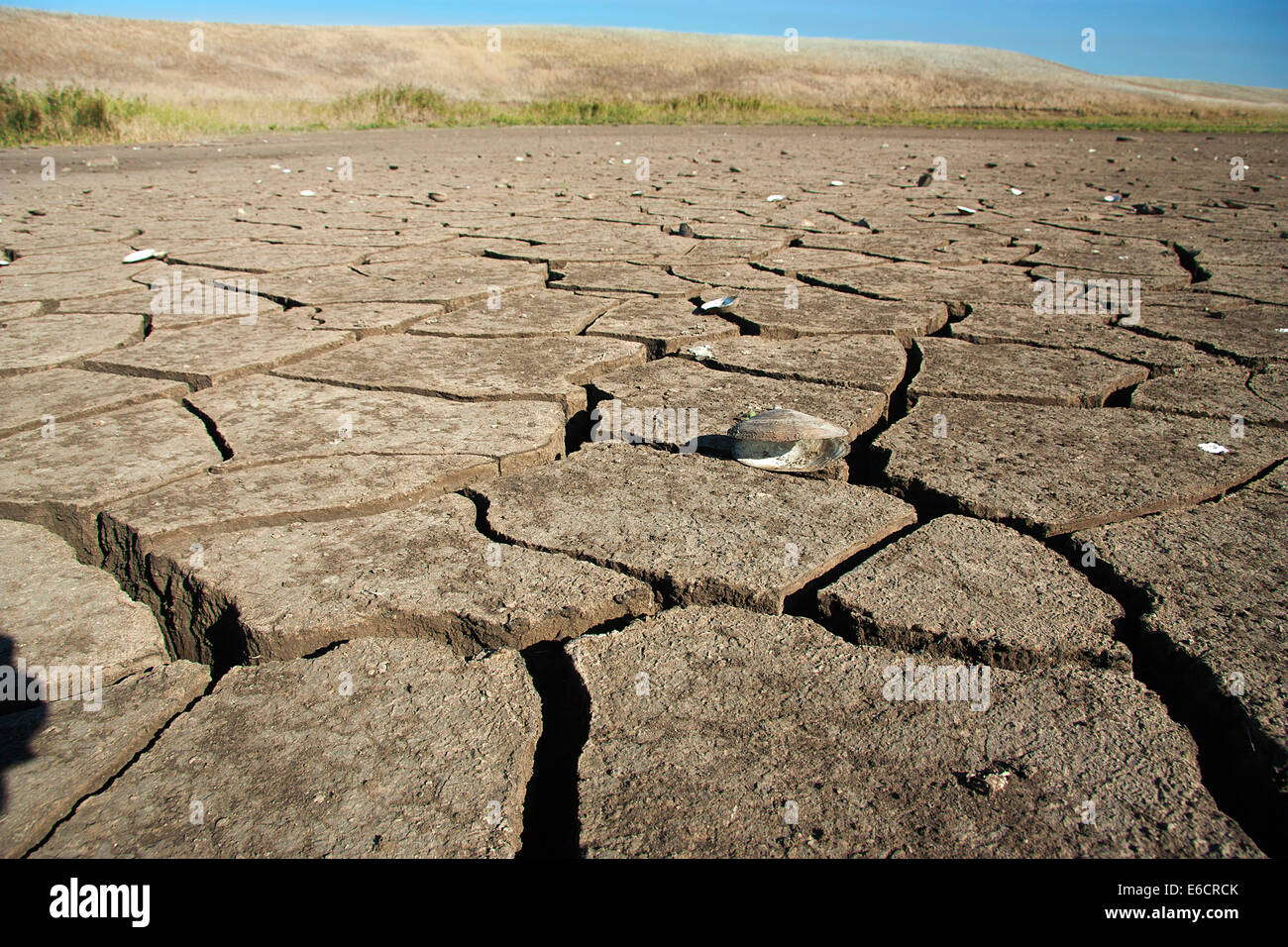 Dry earth, mud, cracked earth, the bottom of the reservoir Stock Photo ...