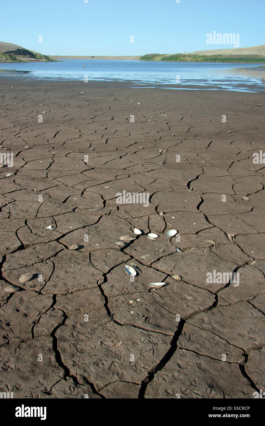 Dry earth, mud, cracked earth, the bottom of the reservoir Stock Photo ...