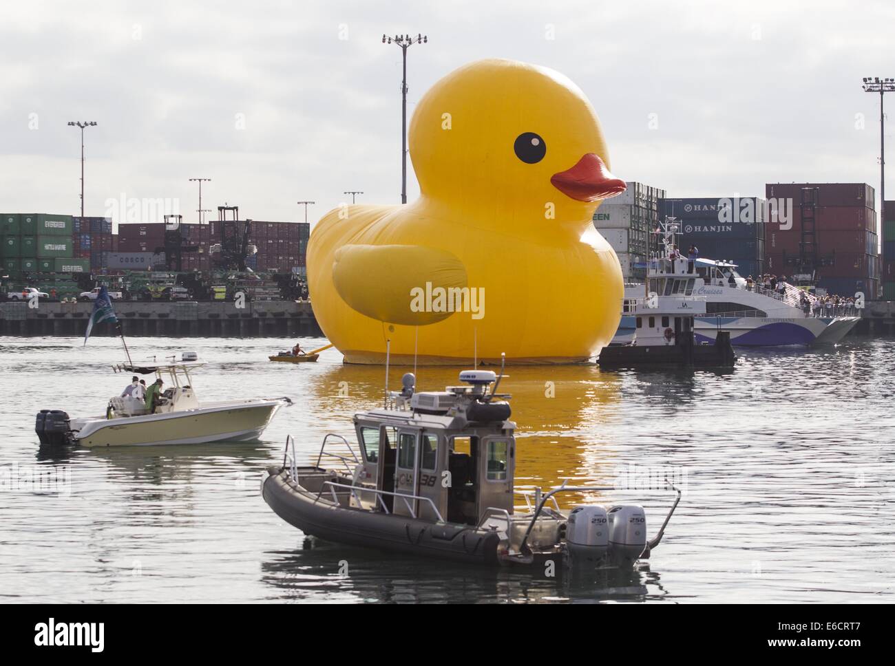 Los Angeles, California, USA. 20th Aug, 2014. A giant rubber duck, the ...