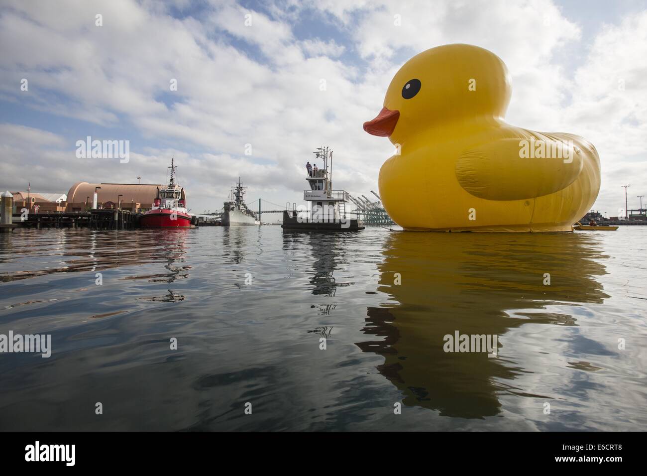 Los Angeles, California, USA. 20th Aug, 2014. A giant rubber duck, the ...