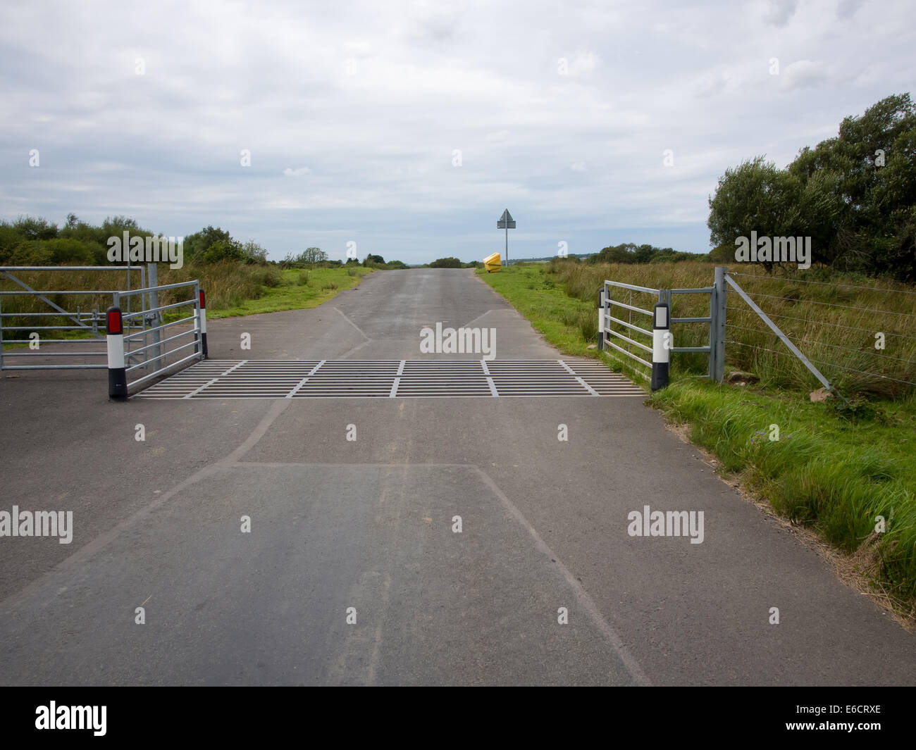 A cattle grid on a country road Stock Photo - Alamy