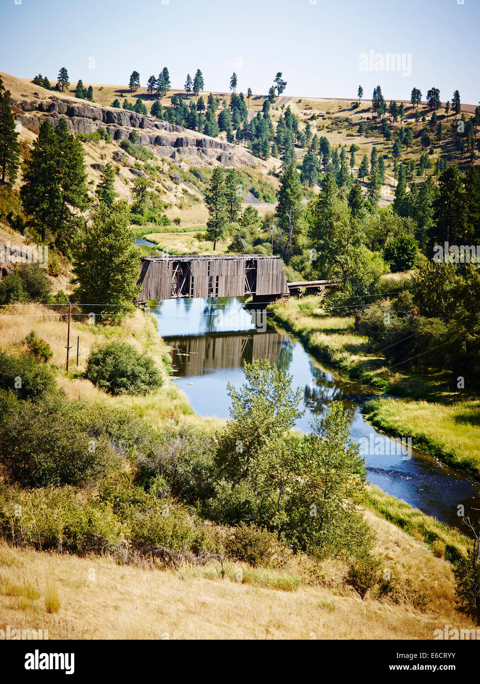 A rustic wood bridge reflects in the river surrounded by pine trees and ...