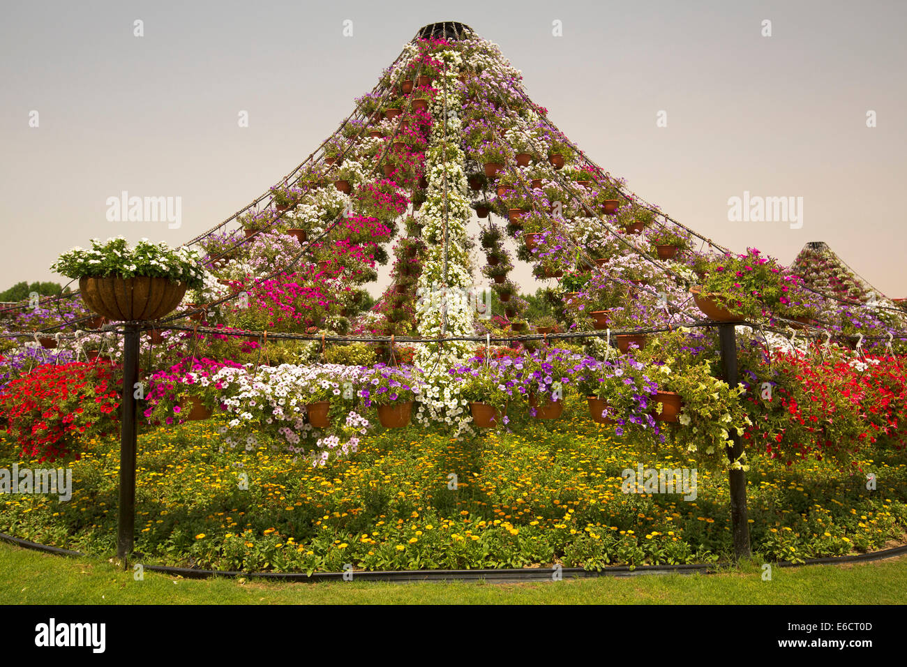 Dubai miracle gardens hi-res stock photography and images - Alamy