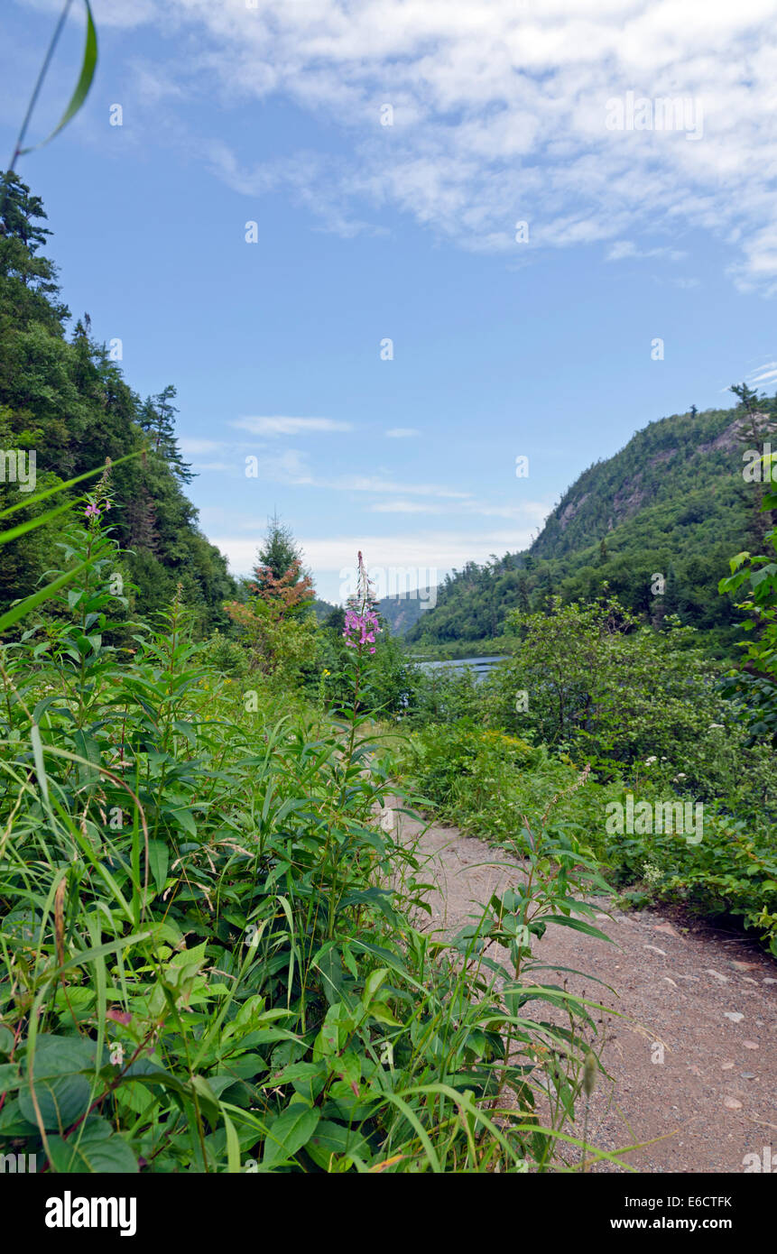 Agawa river hi-res stock photography and images - Alamy