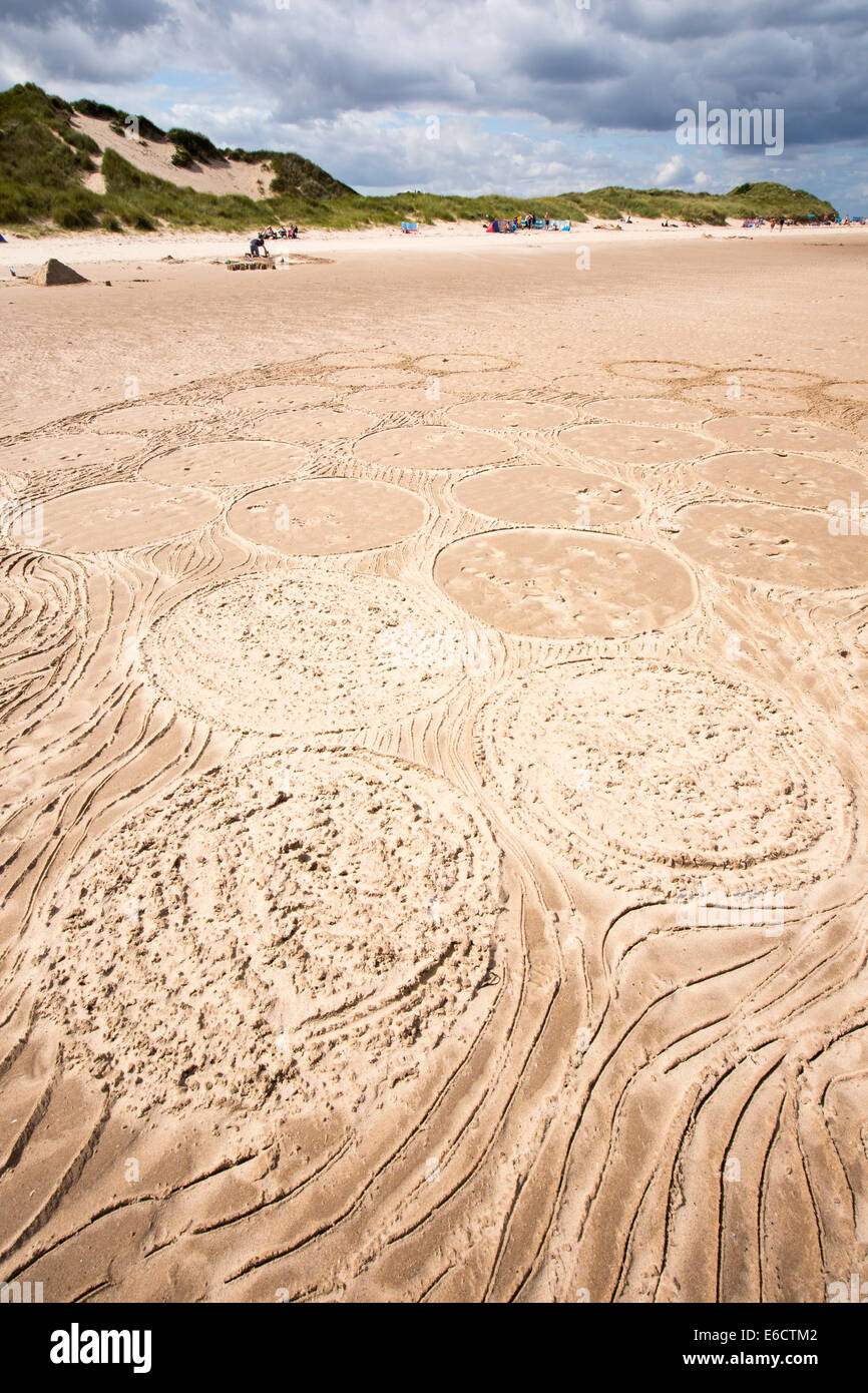 Repeating pattern in nature hi-res stock photography and images - Alamy