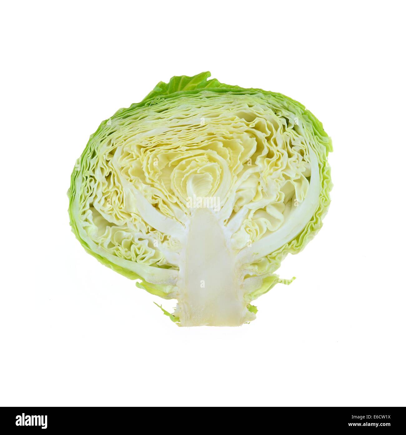 A close up shot of a garden cabbage Stock Photo - Alamy