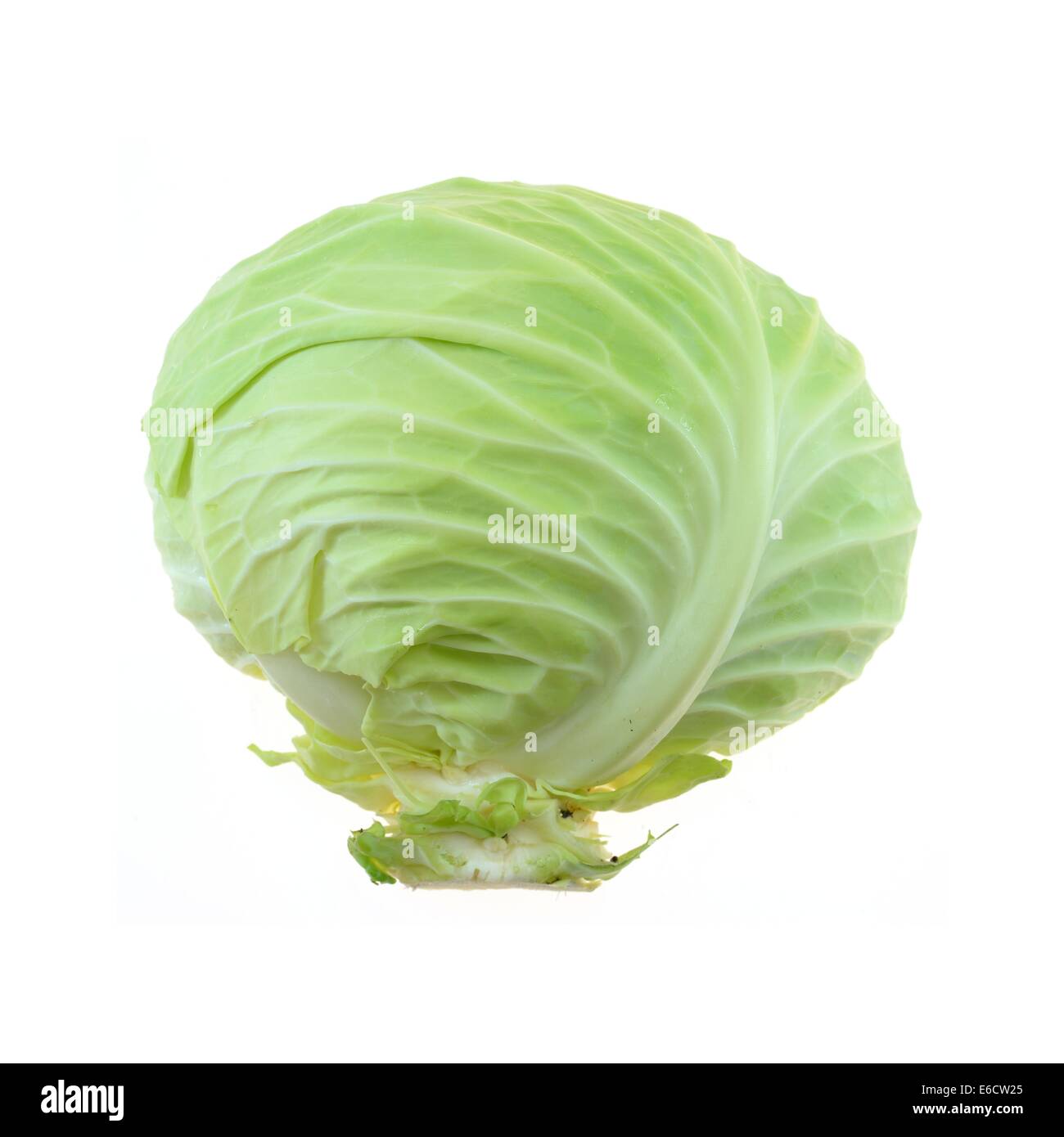 A close up shot of a garden cabbage Stock Photo - Alamy