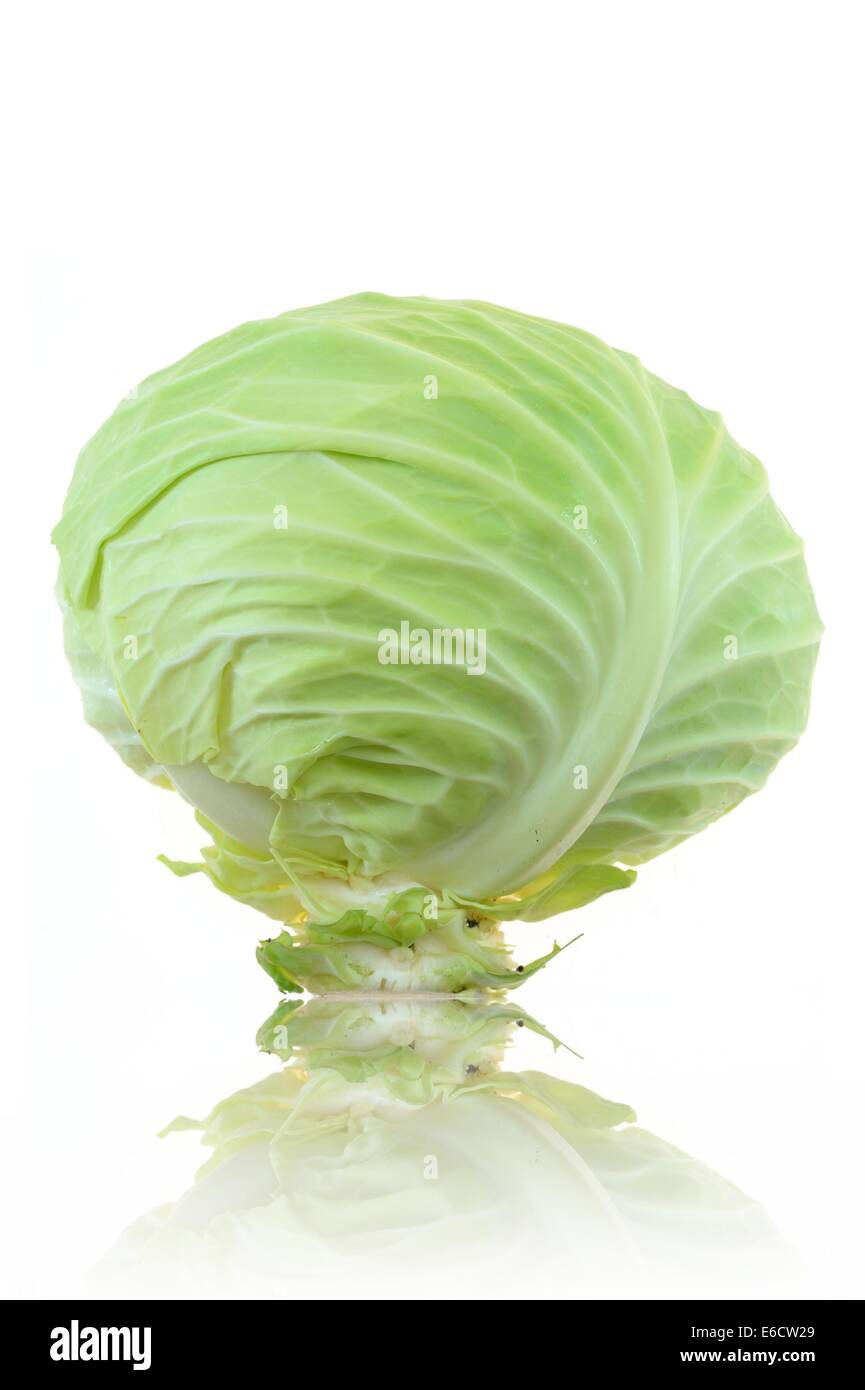 A close up shot of a garden cabbage Stock Photo - Alamy