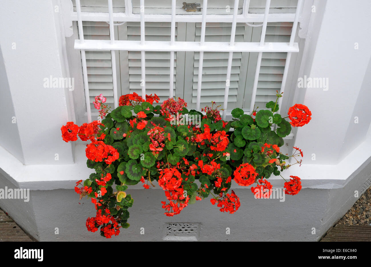 Architectural flowers hi-res stock photography and images - Alamy