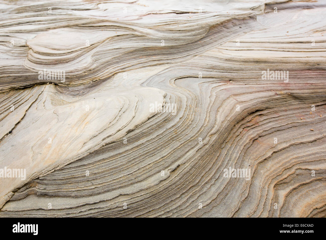 Patterns in weathered shale rocks on Bamburgh Beach, Northumberland, UK ...