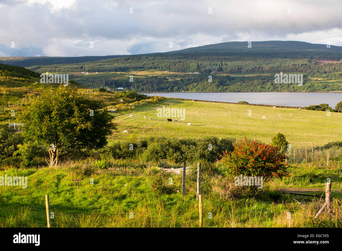 Looking across the Sound of Mull to Movern from the Isle of Mull ...