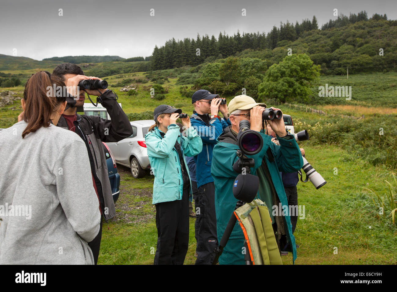An Isle of Mull Wildlife tour showing the islands wildlife to tourists ...