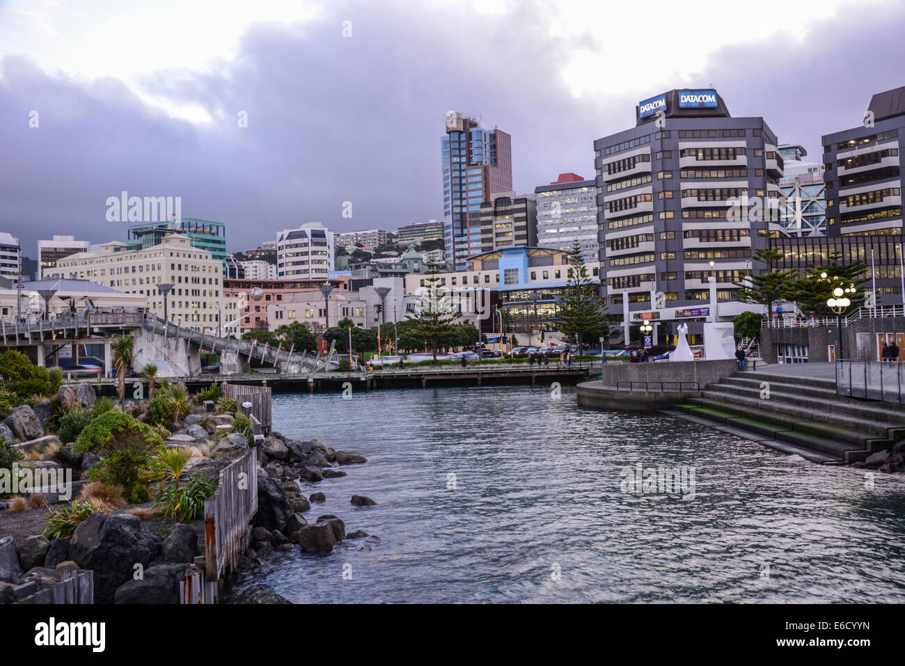 wellington city new zealand shoreline wellington skyline Stock Photo ...