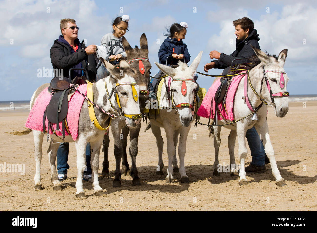 Asian family riding Donkey"s on the beach traditional English seaside ...