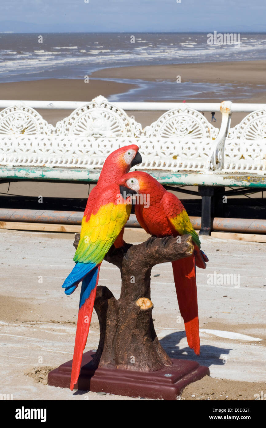 Parrots statue hi-res stock photography and images - Alamy