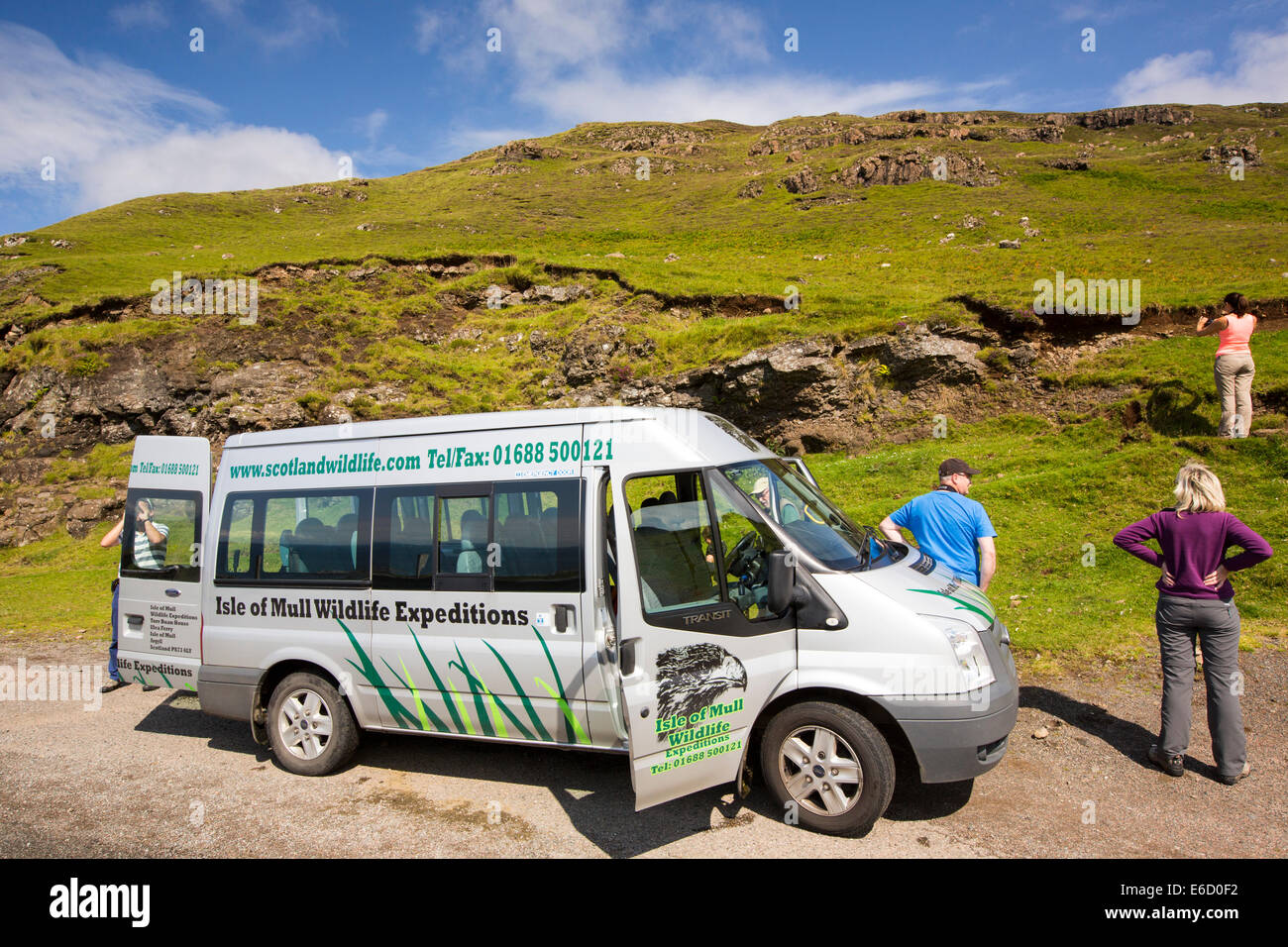 An Isle of Mull Wildlife tour showing the islands wildlife to tourists ...