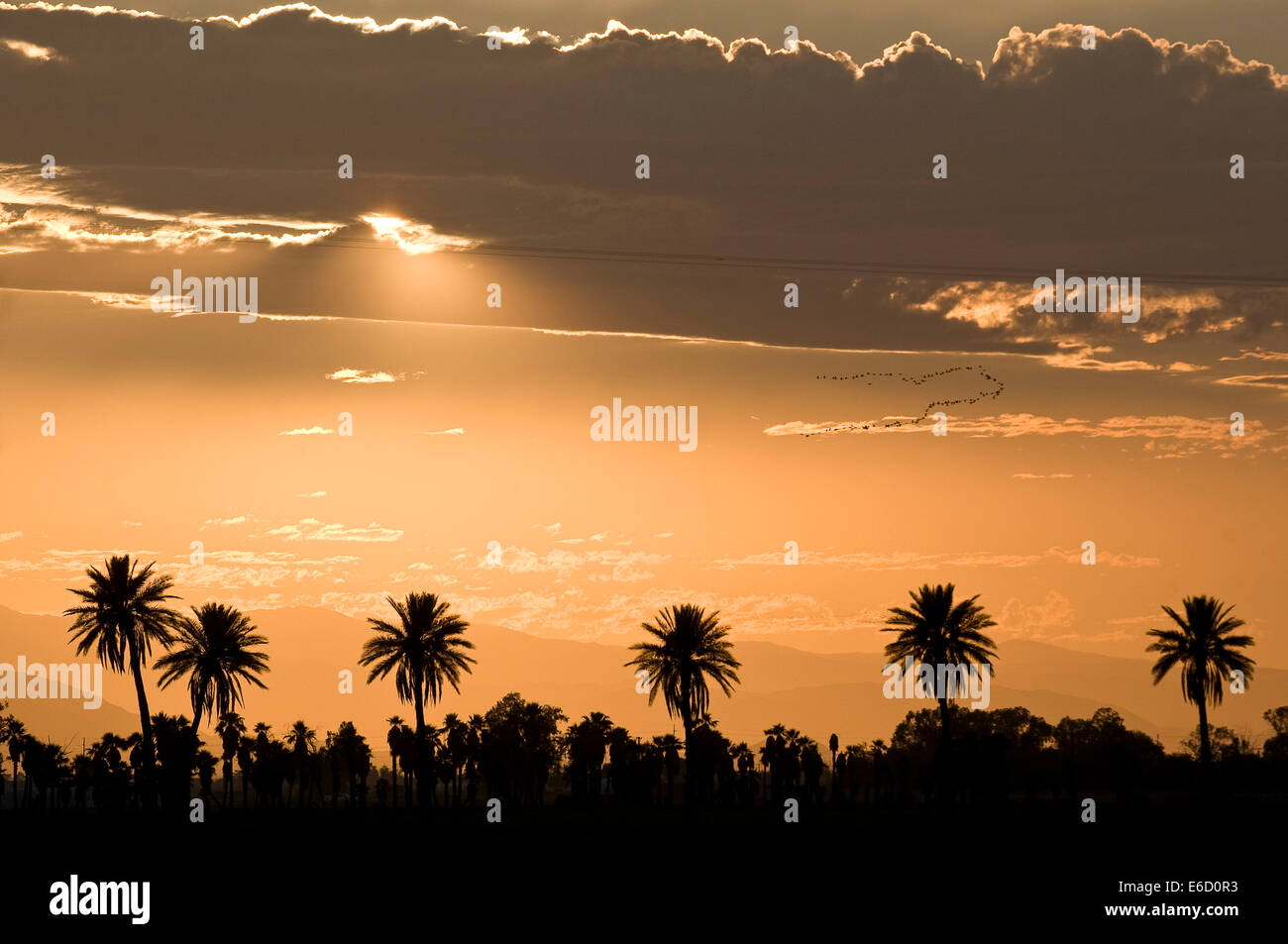 Jacumba valley hi-res stock photography and images - Alamy